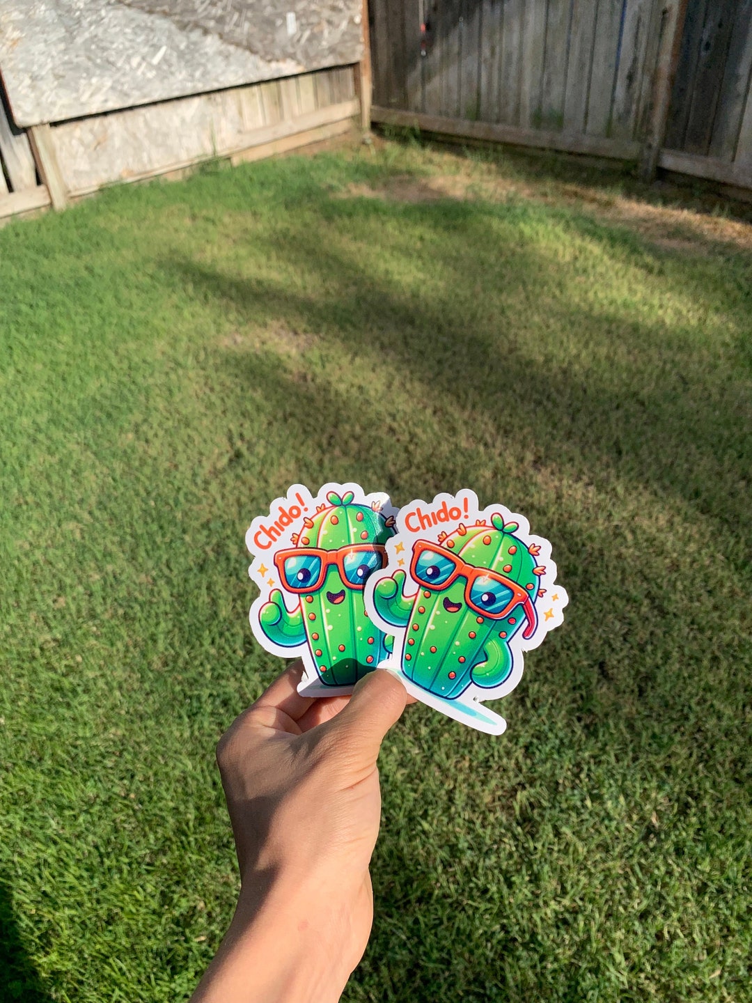 Chido Nopal Cactus 2x Sticker Decal, Mexican Phrases, Mexico Sticker ...