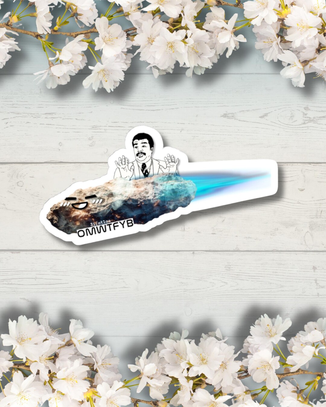 3i/atlas Meme Sticker, Funny Laptop Decal, Quirky Water Bottle Sticker ...