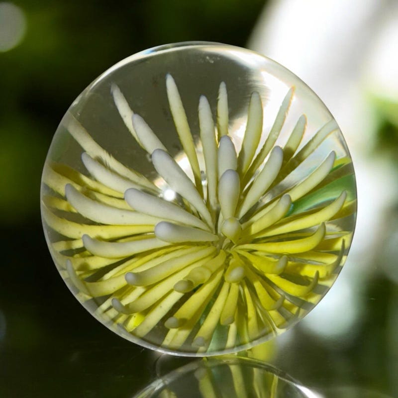 Flower Paperweight - Etsy
