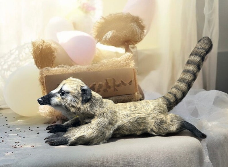 Baby Coati Plush Toy. - Etsy