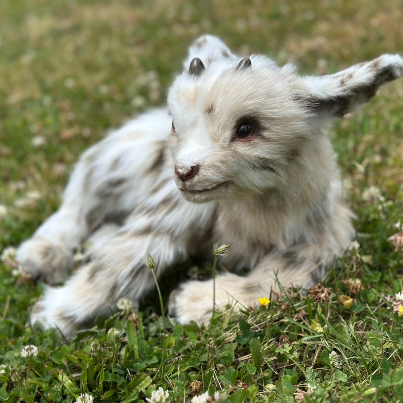 Two Time Plush - Etsy