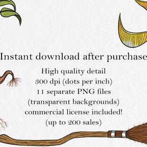 Magic School Clipart, Witch and Wizard Illustration, School Supplies ...