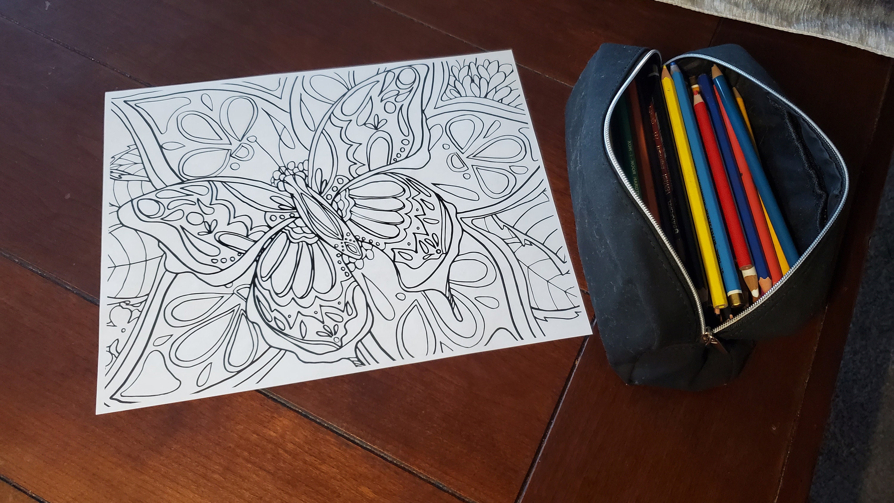 Hand-drawn Mindful Coloring Page - Geometric Butterfly Resting on ...