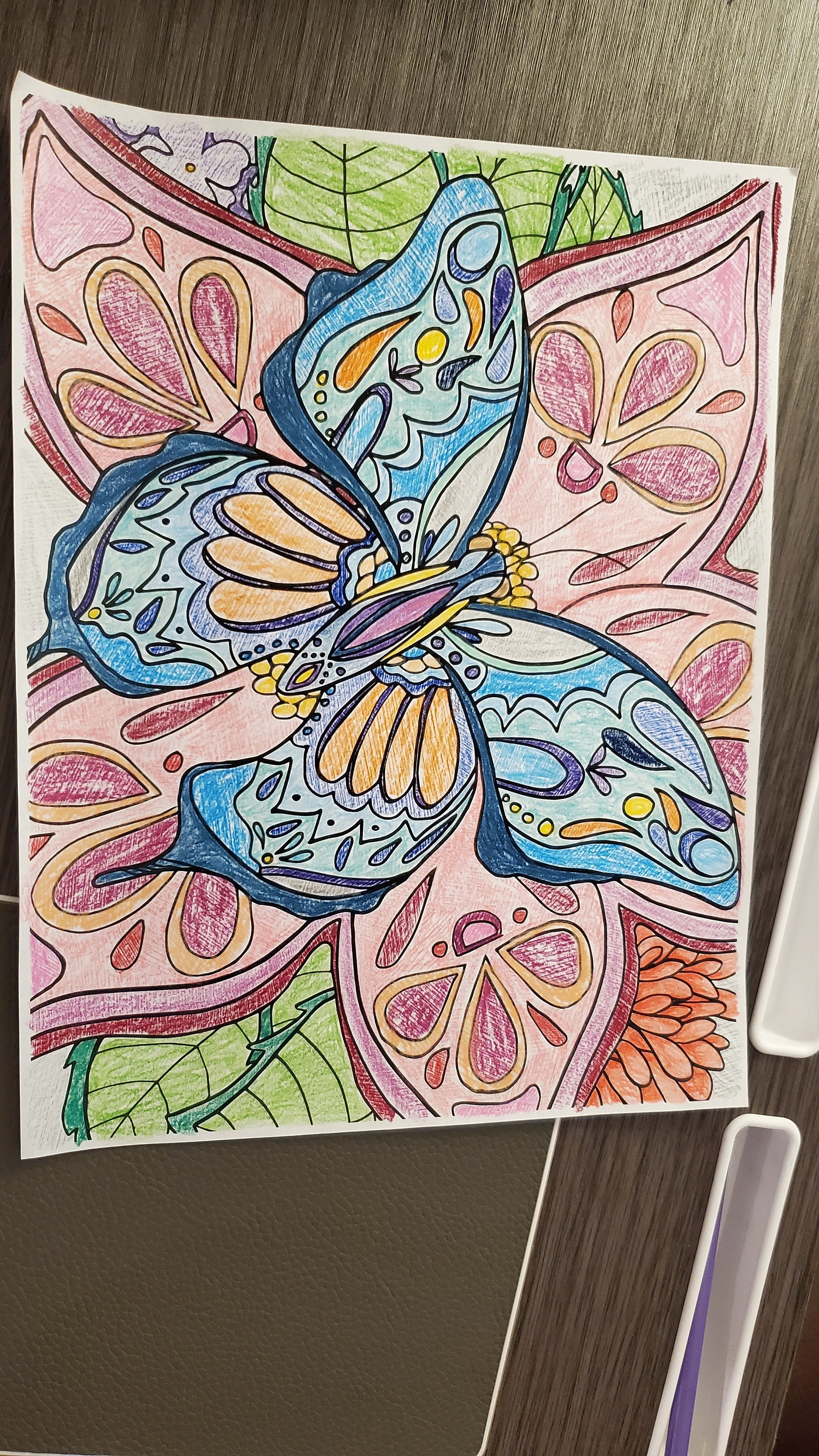 Hand-drawn Mindful Coloring Page - Geometric Butterfly Resting on ...