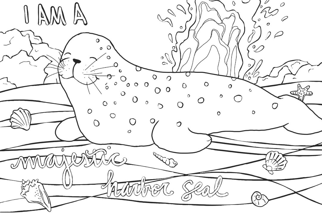 Hand-drawn Seal Adult Coloring Page (digital Download) - Etsy