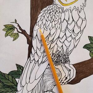Majestic Owl Coloring Page | Instant Download Printable PDF and PNG ...