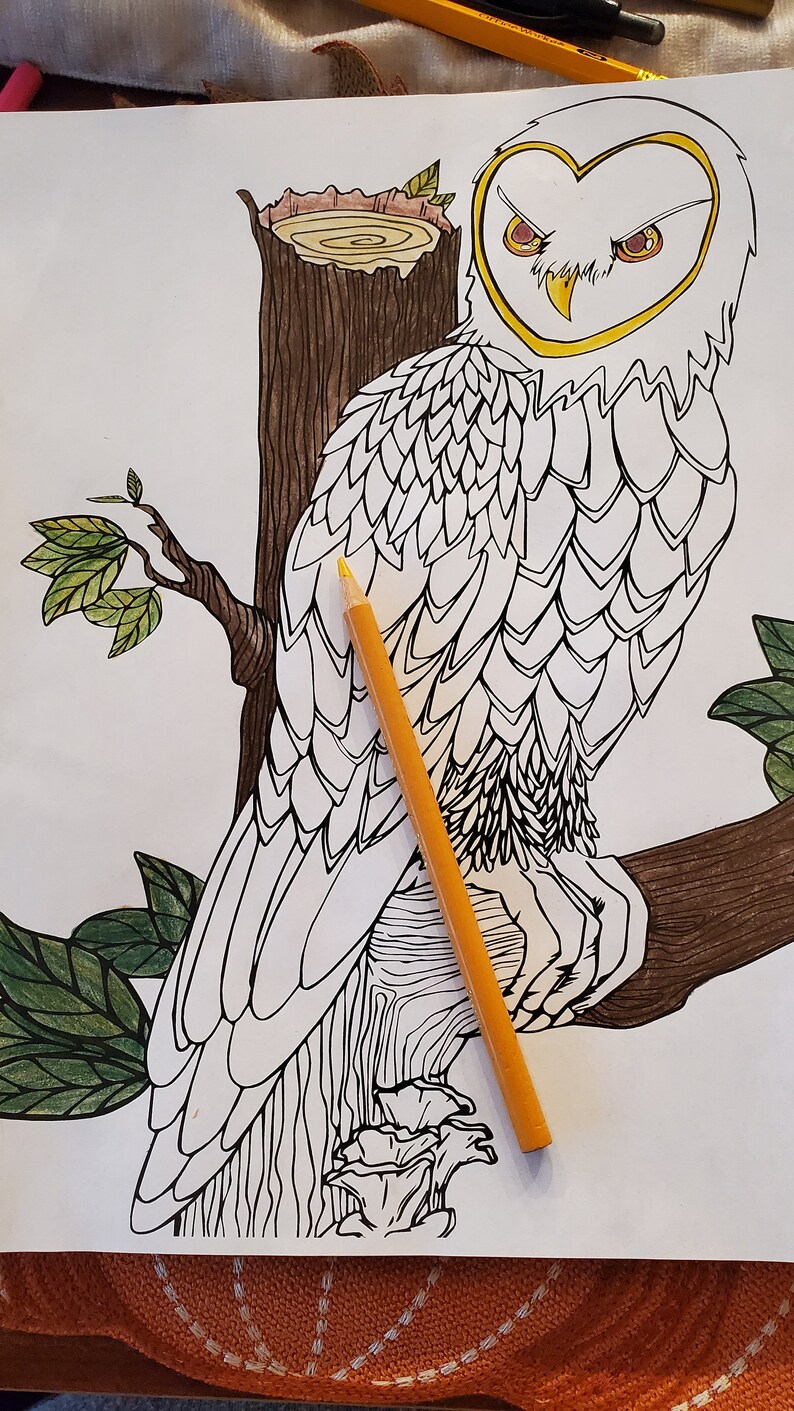 Majestic Owl Coloring Page | Instant Download Printable PDF and PNG ...