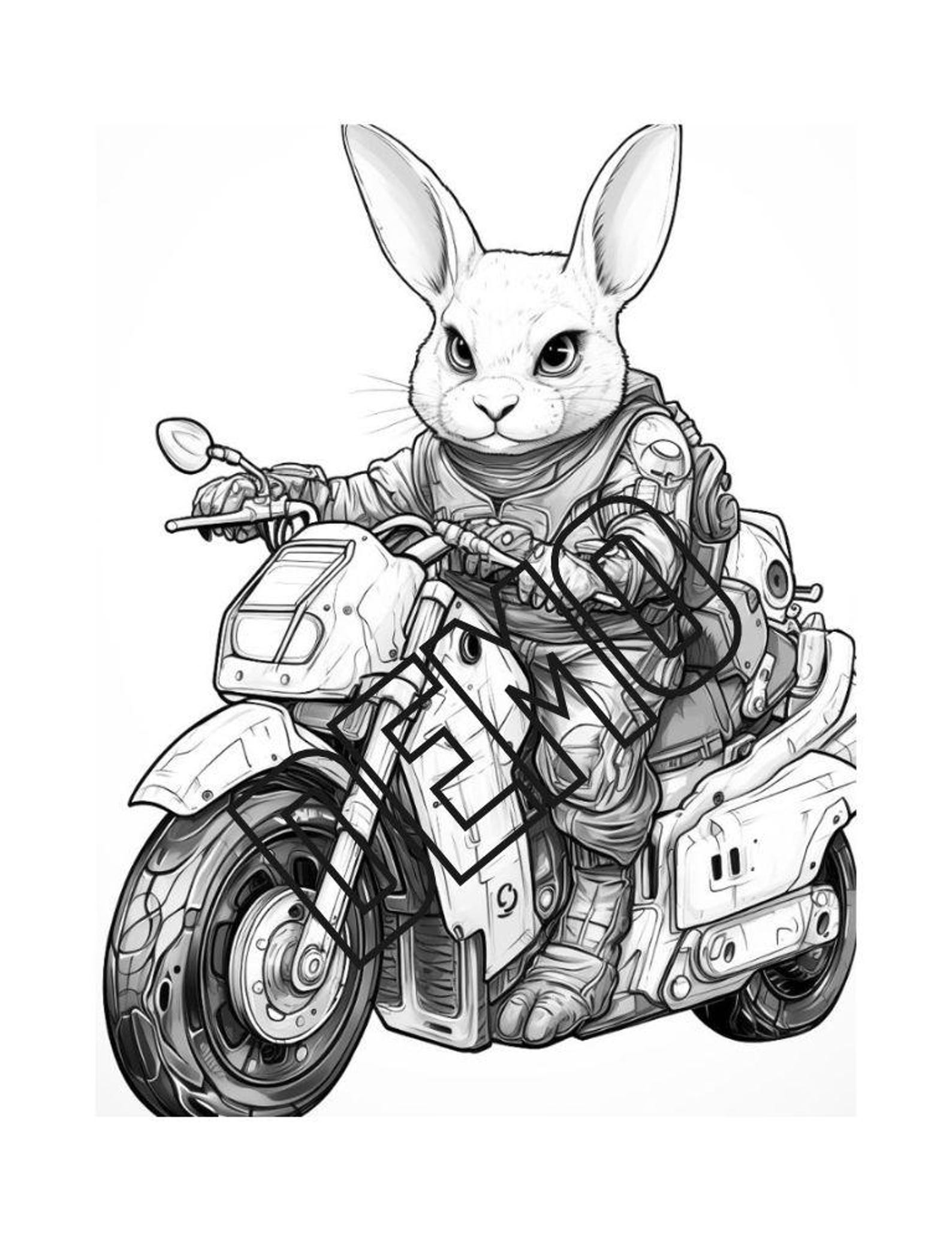 Coloring Book Animal Warriors: Rabbit Warriors Edition Adults & Teens ...