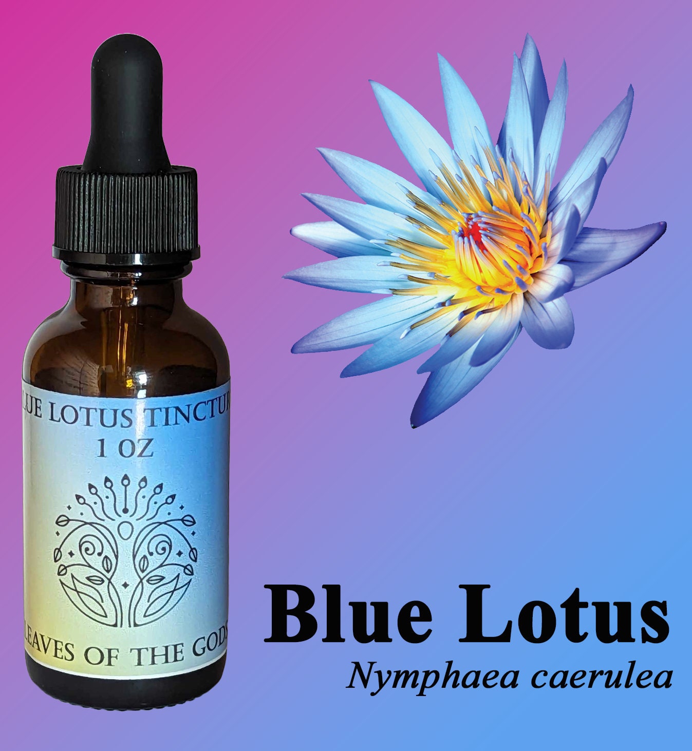 Egyptian Blue Lotus Tincture nymphaea Caerulea High Quality - Etsy