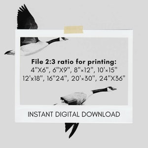 Vintage Chevrolet Bel Air Logo - Etsy