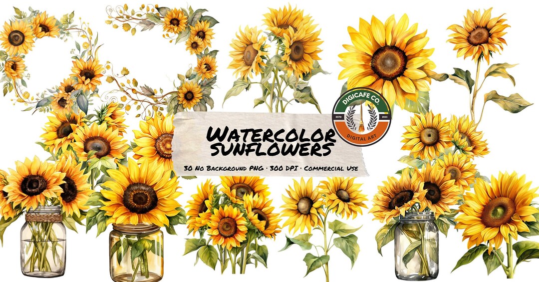 Watercolor Sunflowers Clipart - Sunflower Fall Floral Autumn Flower ...