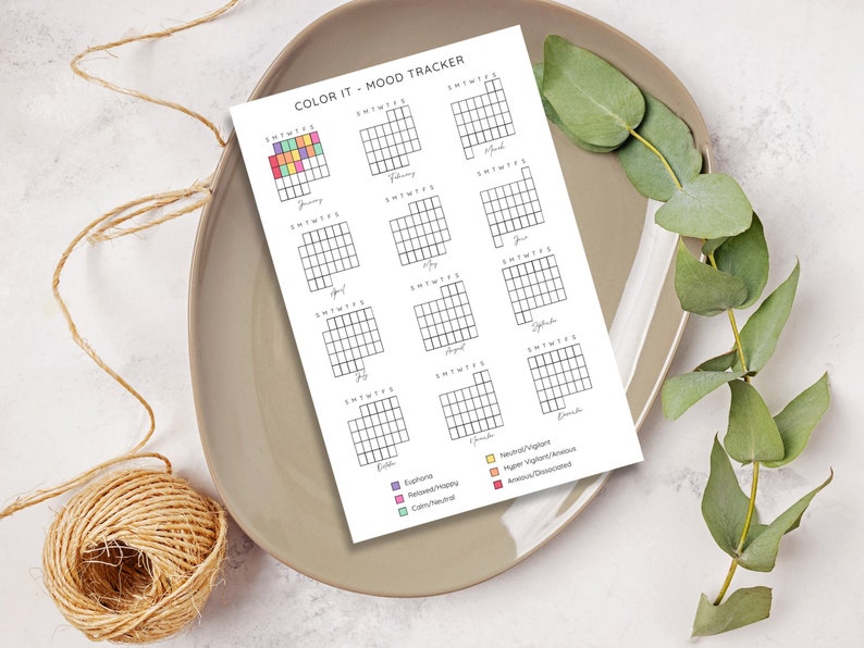Printable 2024 Color It Mood Tracker, Mood Spectrum Journal, Emotion ...