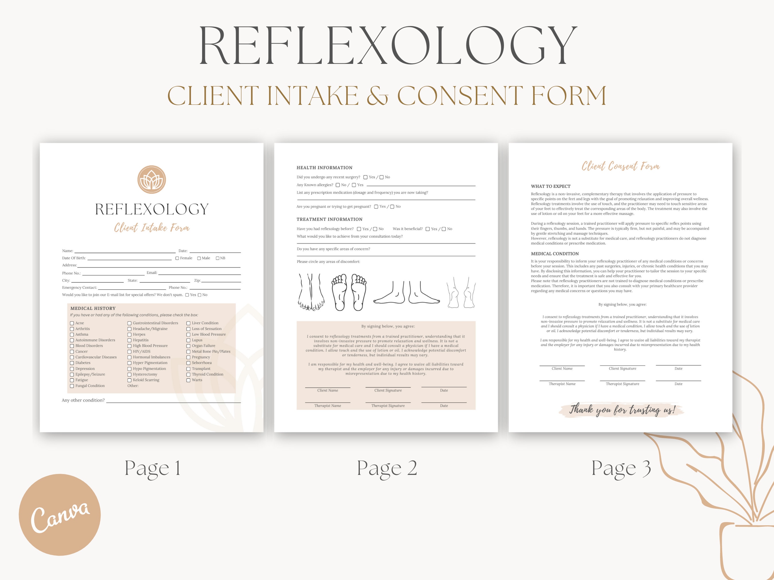 Professional Reflexology Forms Bundle Massage Policy - Etsy