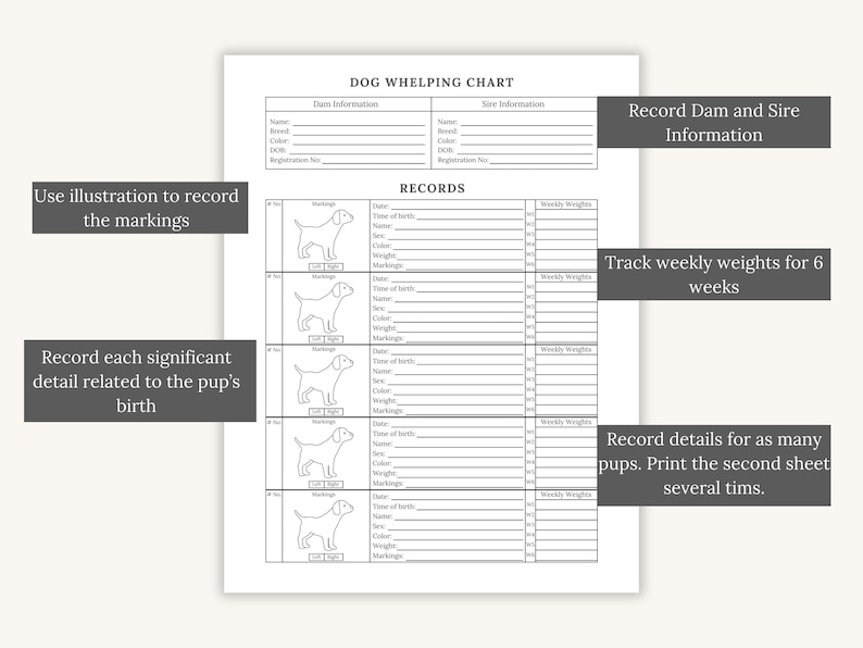 Dog Whelping Chart Template: Puppy Weight Tracker (digital Download) - Etsy