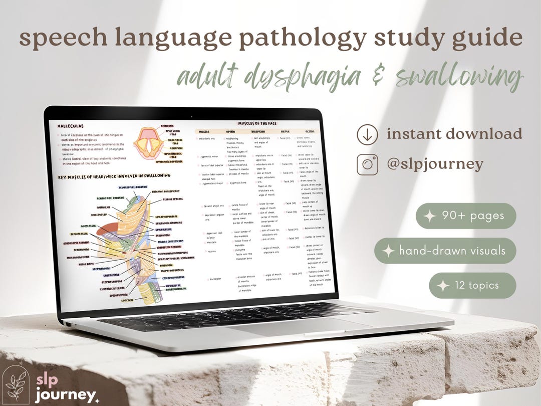 Speech Language Pathology Notes: Adult Dysphagia (digital Download) - Etsy