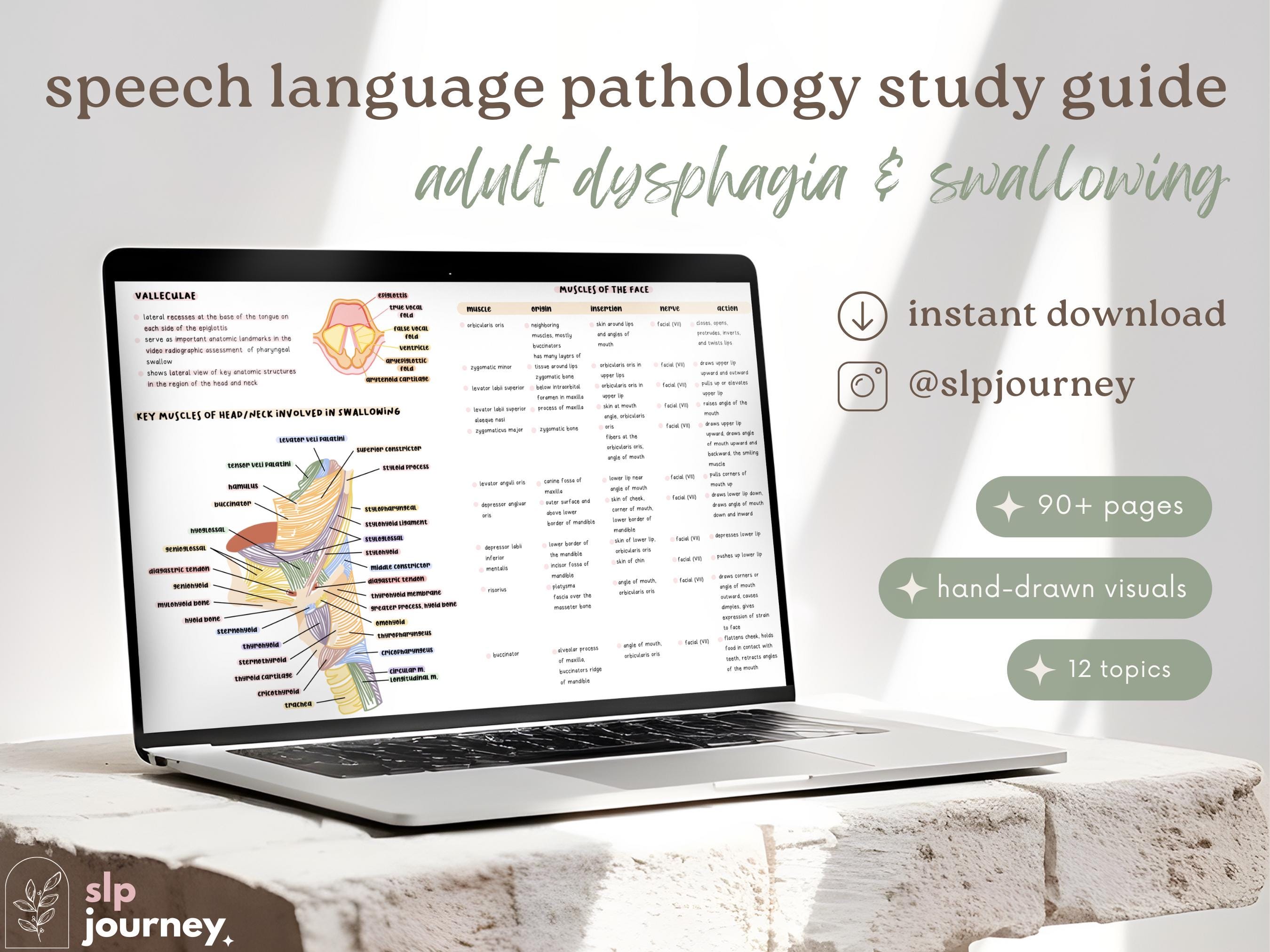 Speech Language Pathology Notes: Adult Dysphagia (digital Download) - Etsy
