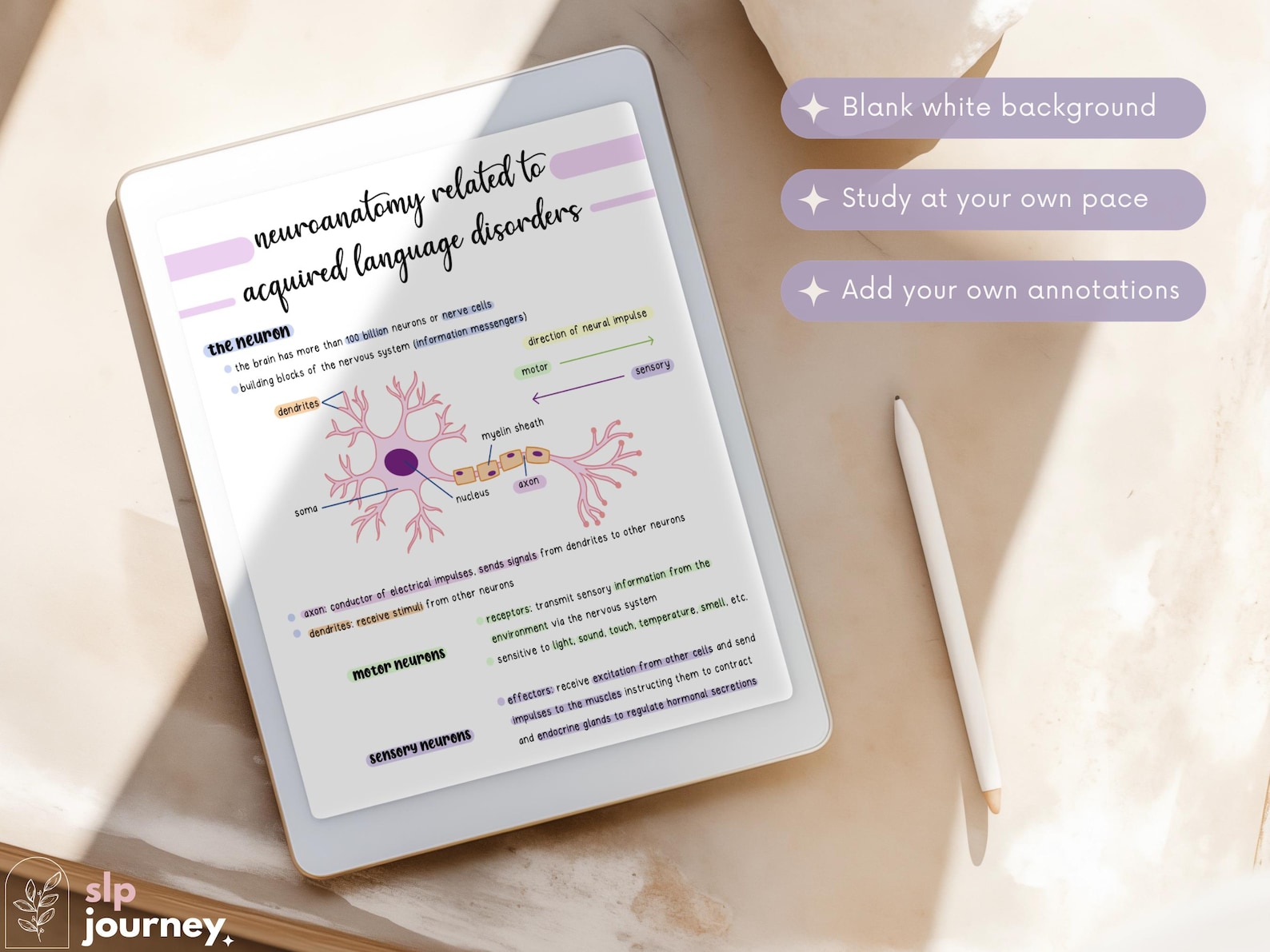 Speech Language Pathology Notes: Acquired Language Disorders (digital ...