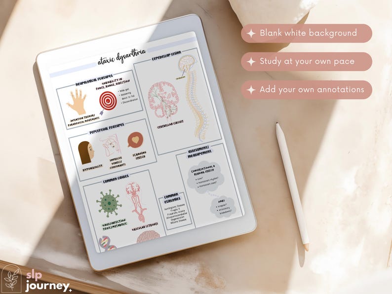 Speech Language Pathology Notes: Motor Speech Disorders (digital ...