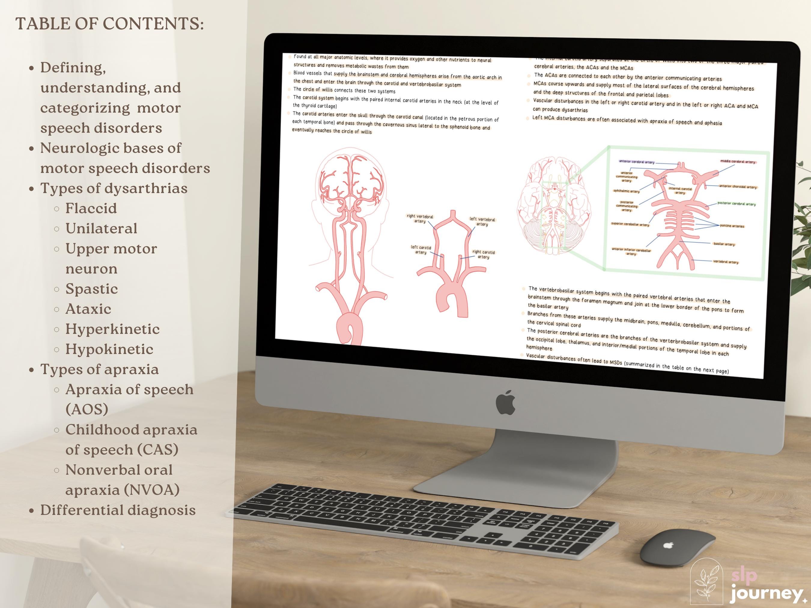 Speech Language Pathology Notes: Motor Speech Disorders (digital ...