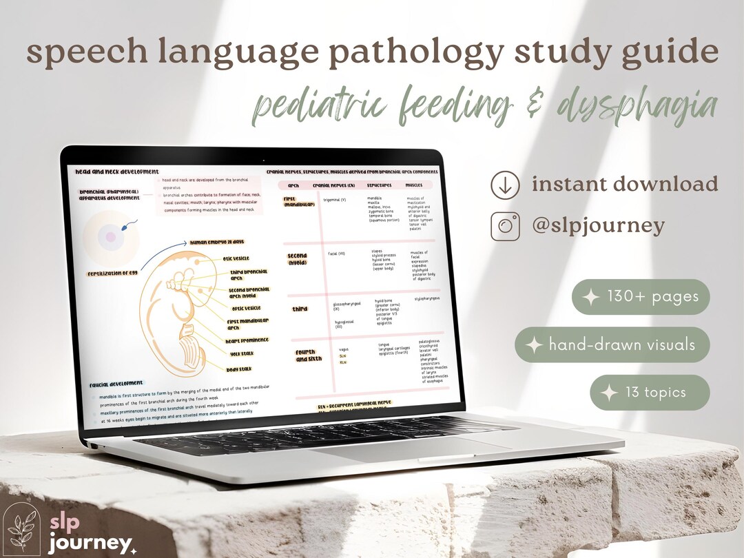 Speech Language Pathology Notes: Pediatric Dysphagia (digital Download ...