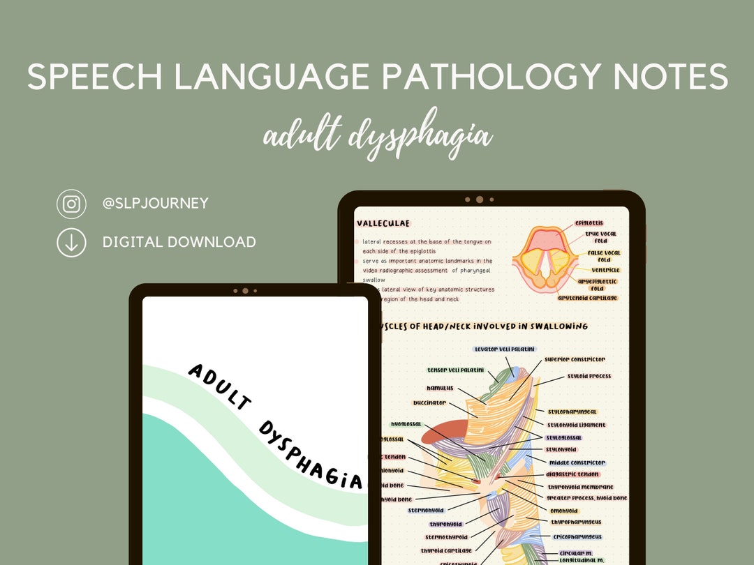 Speech Language Pathology Notes: Adult Dysphagia digital Download - Etsy
