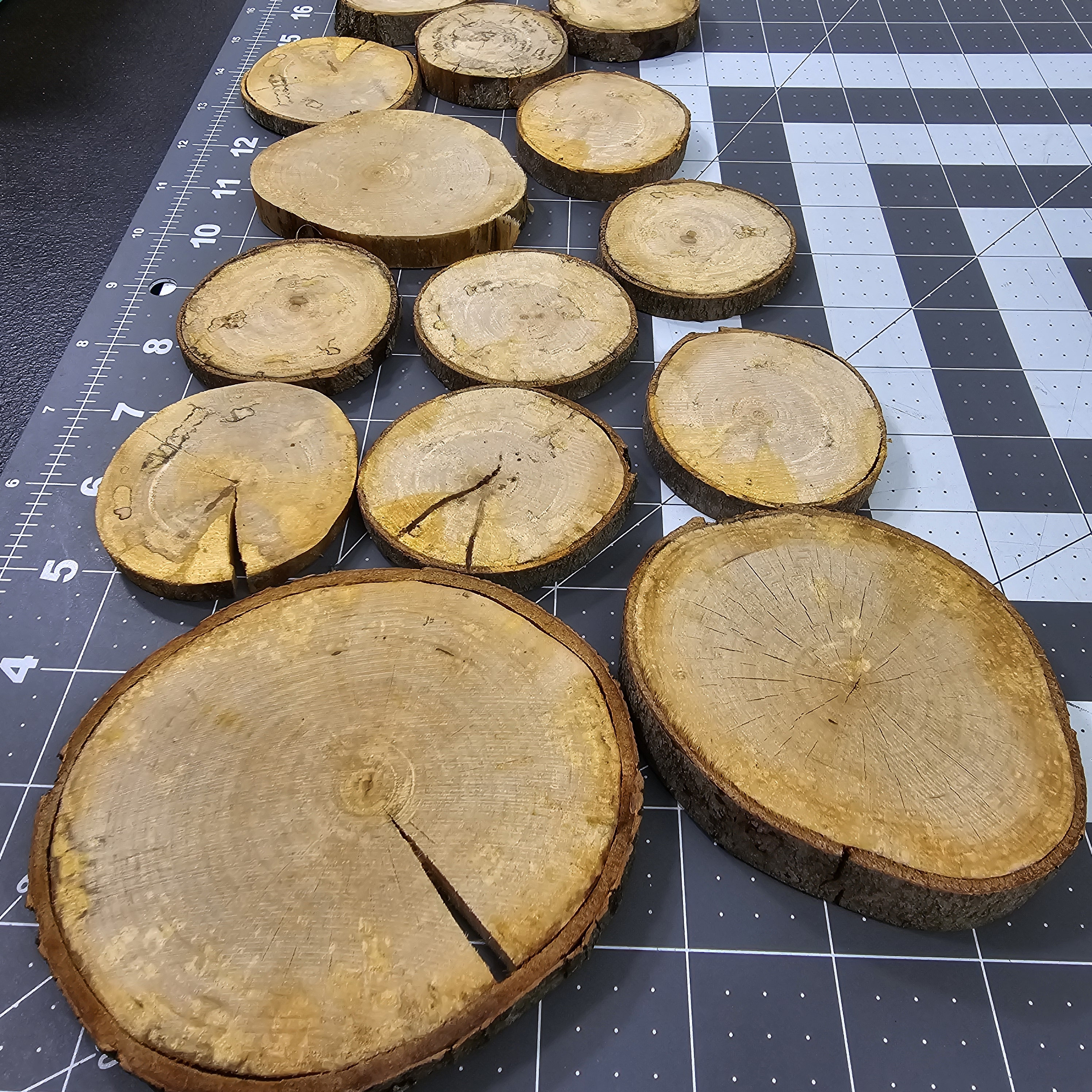 12 Random Maple Wood Slices for Crafts, Ambrosia/spalted and Plain, Dry ...