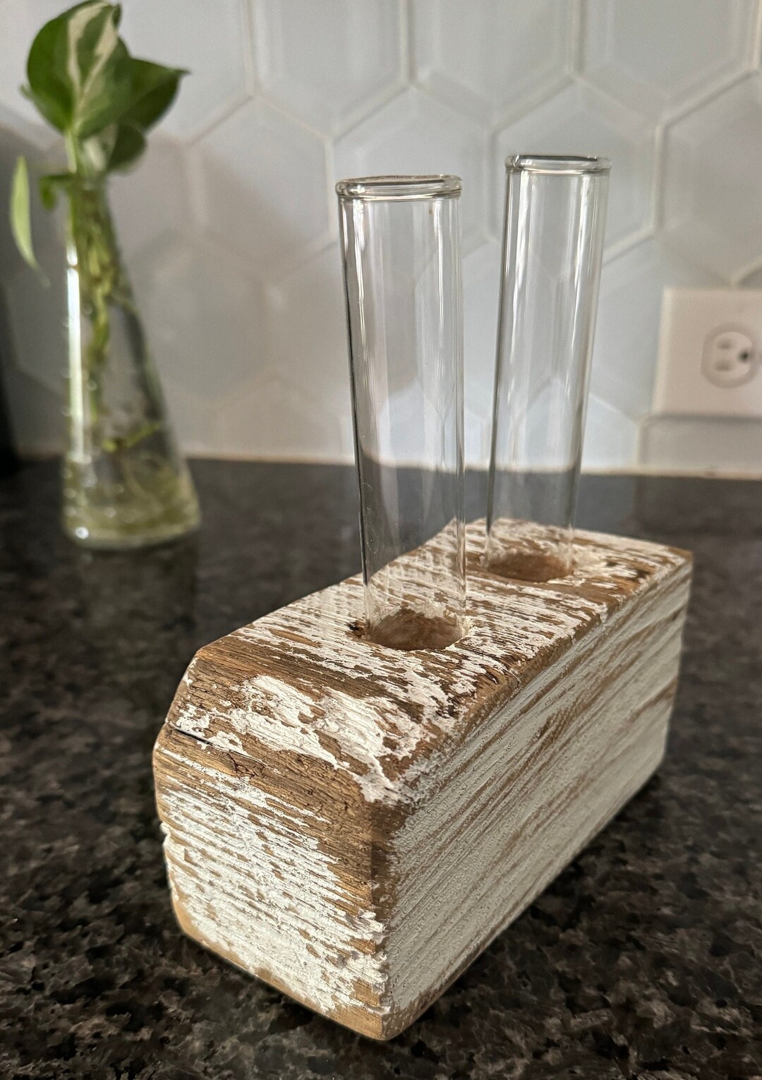 Reclaimed Oak Wood Propagation Station With Two Glass Test Tubes ...