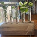 Reclaimed Oak Wood Propagation Station With Five Glass Test Tubes ...
