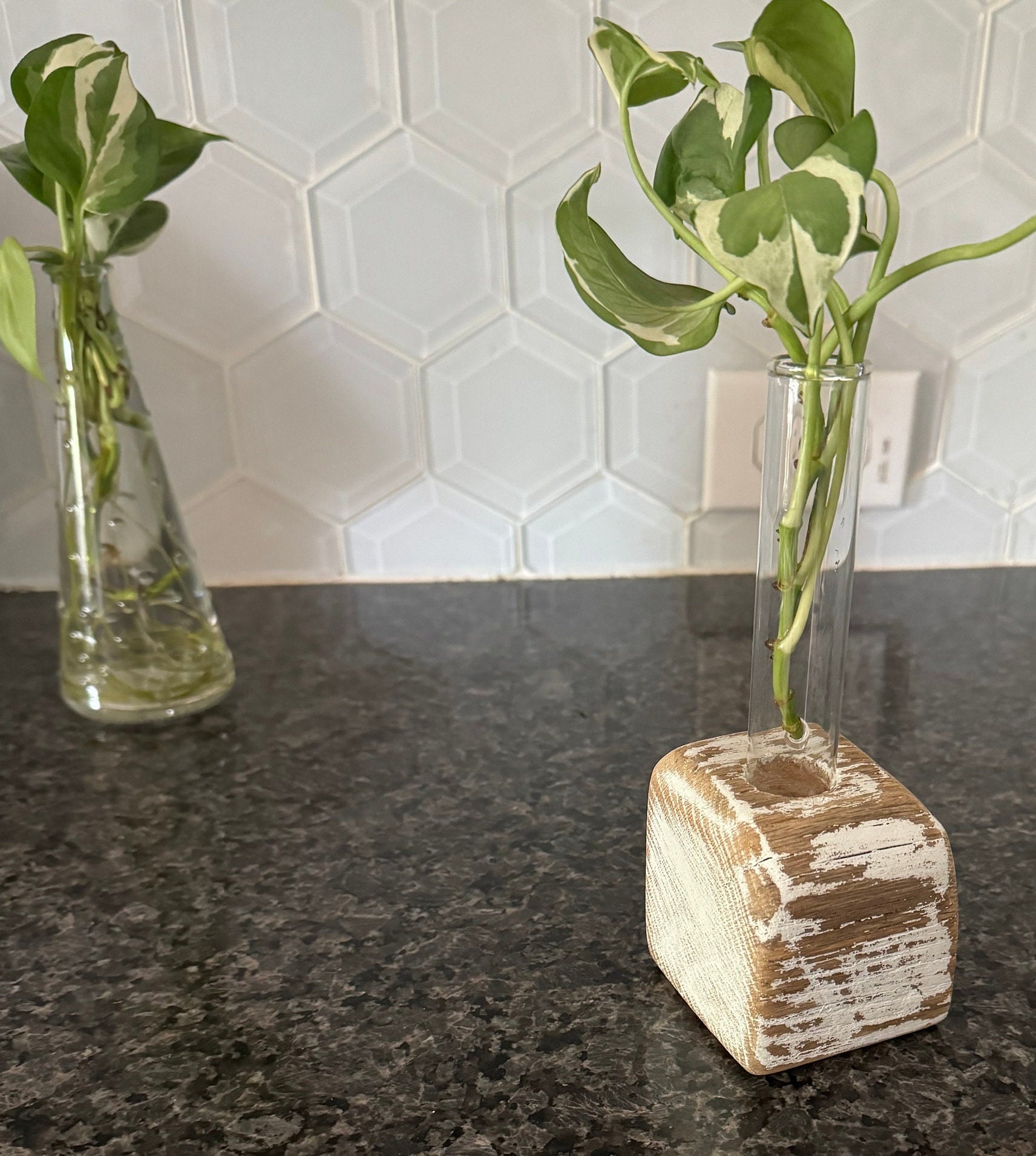 Reclaimed Oak Wood Propagation Station With One Glass Test Tube ...
