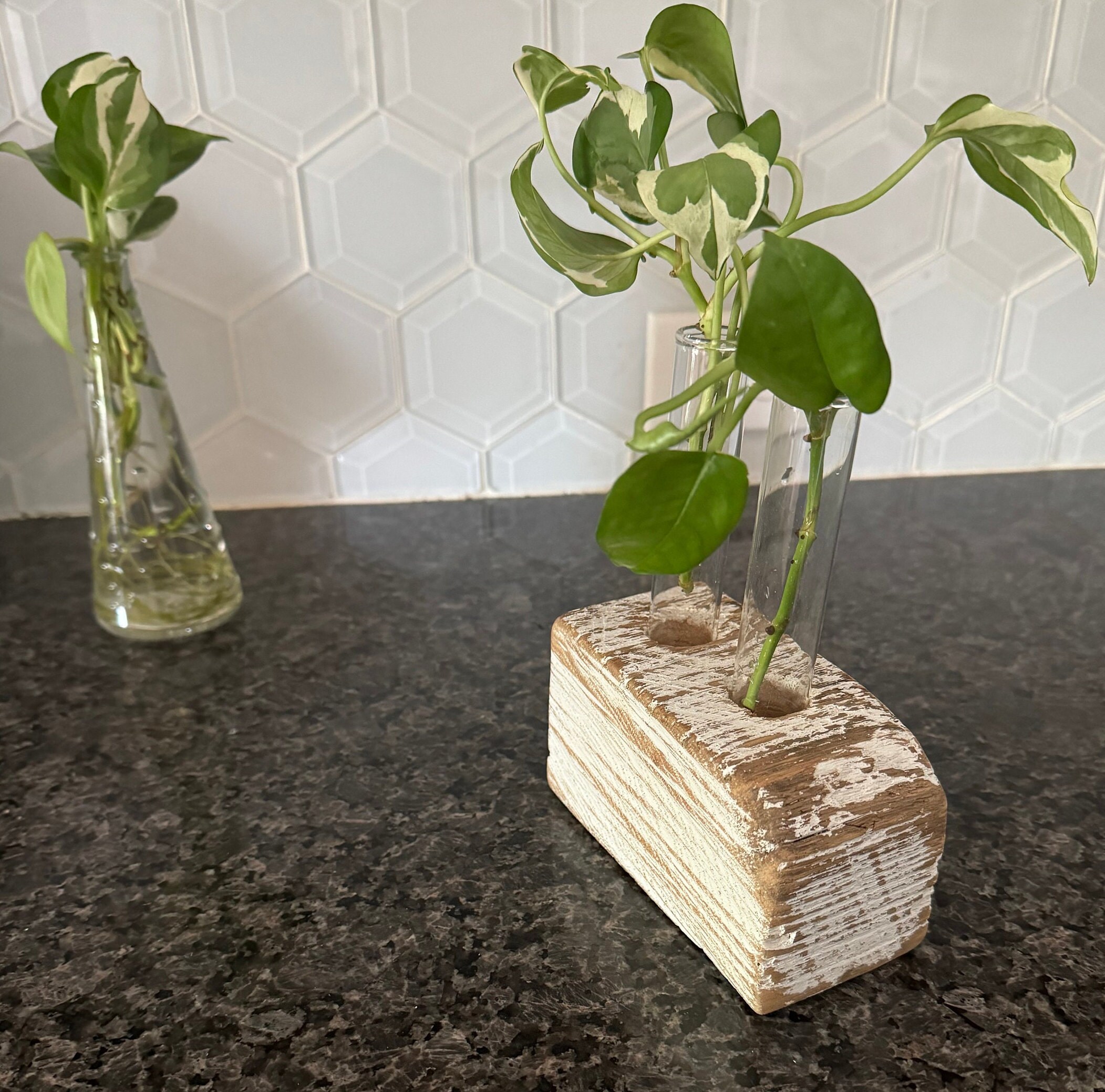 Reclaimed Oak Wood Propagation Station With Two Glass Test Tubes ...