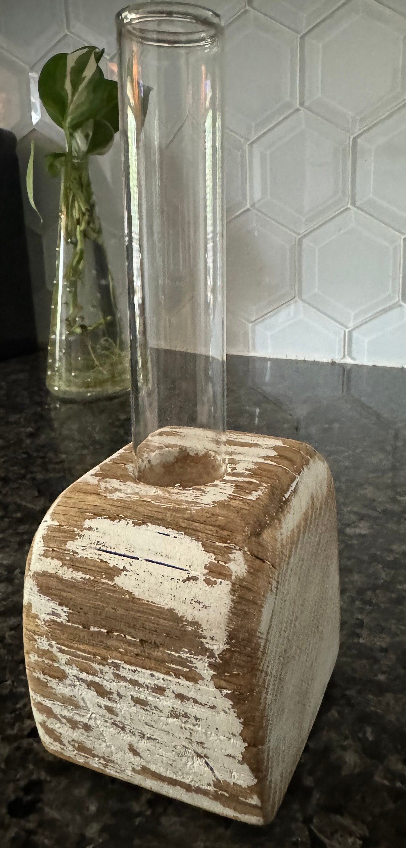 Reclaimed Oak Wood Propagation Station With One Glass Test Tube ...