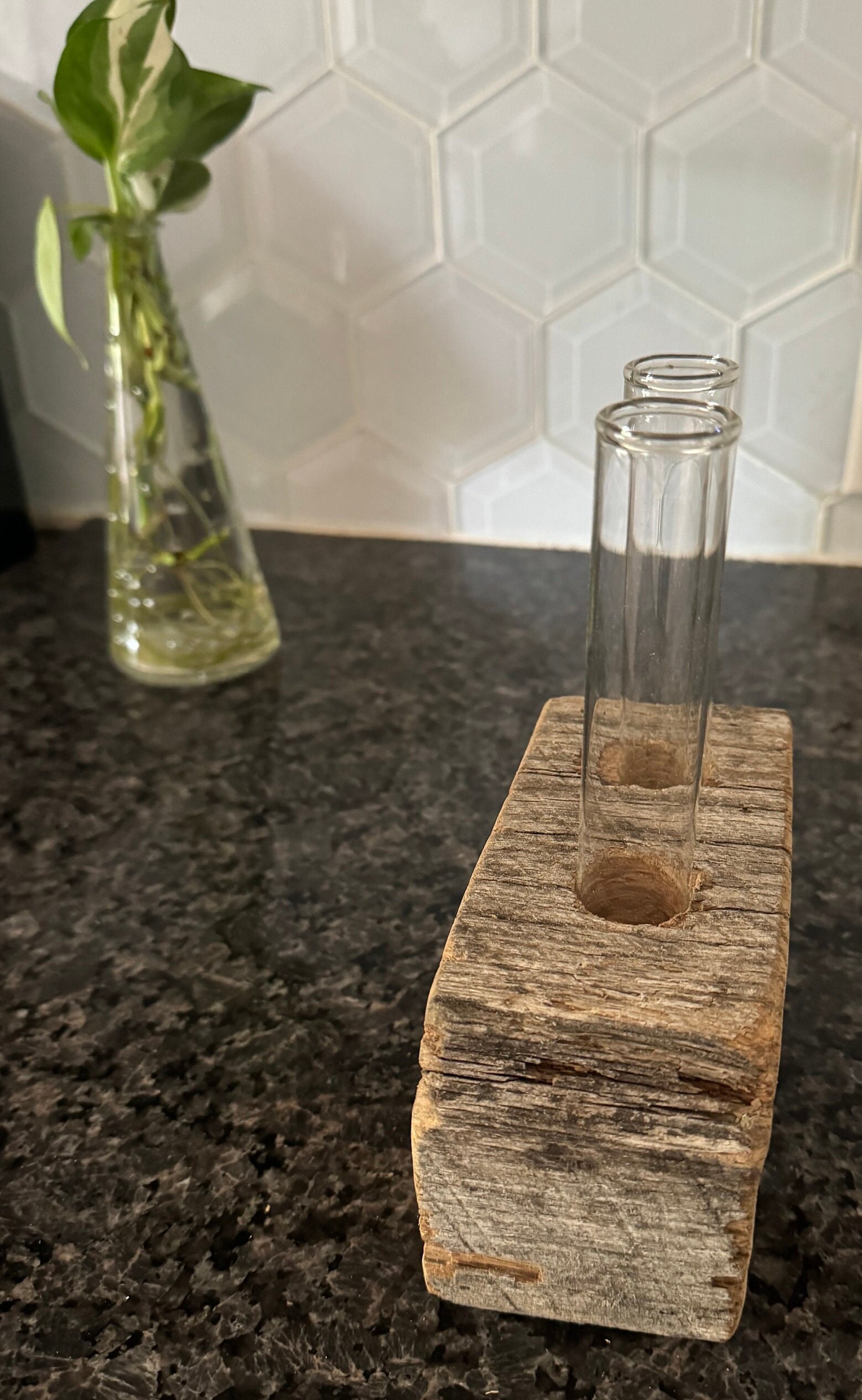 Reclaimed Oak Wood Propagation Station With Two Glass Test Tube ...
