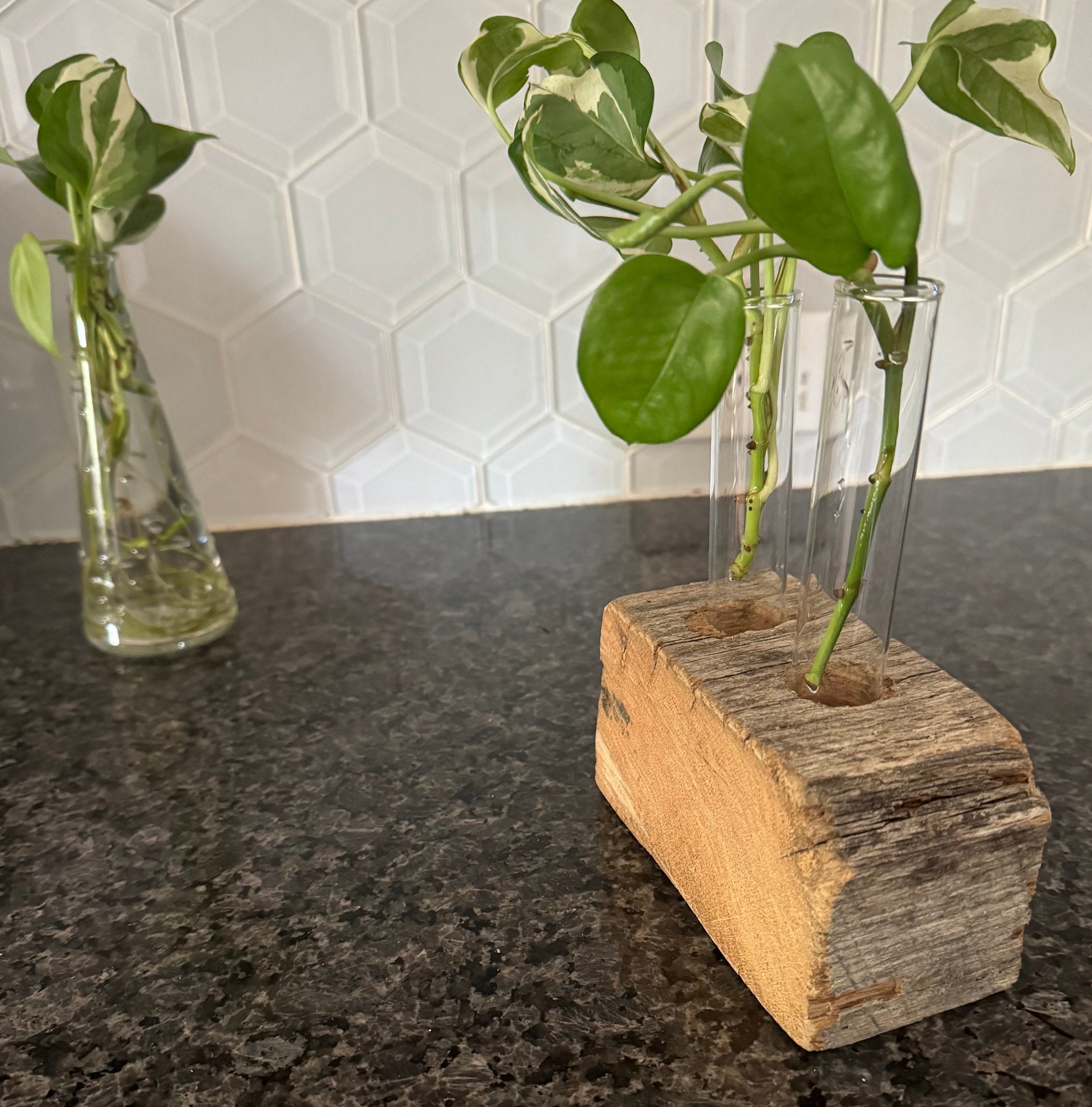 Reclaimed Oak Wood Propagation Station With Two Glass Test Tube ...