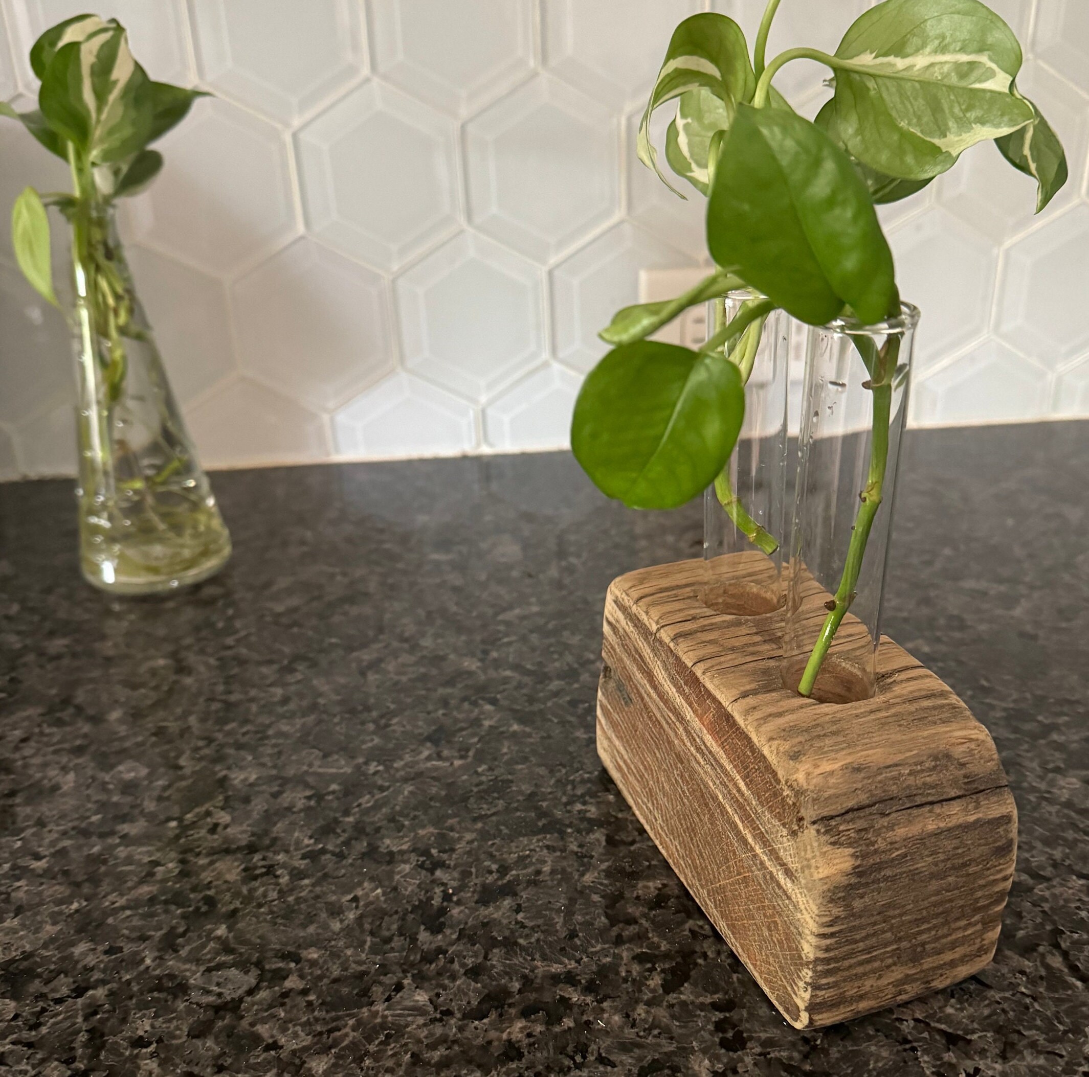 Reclaimed Oak Wood Propagation Station With Two Glass Test Tube ...
