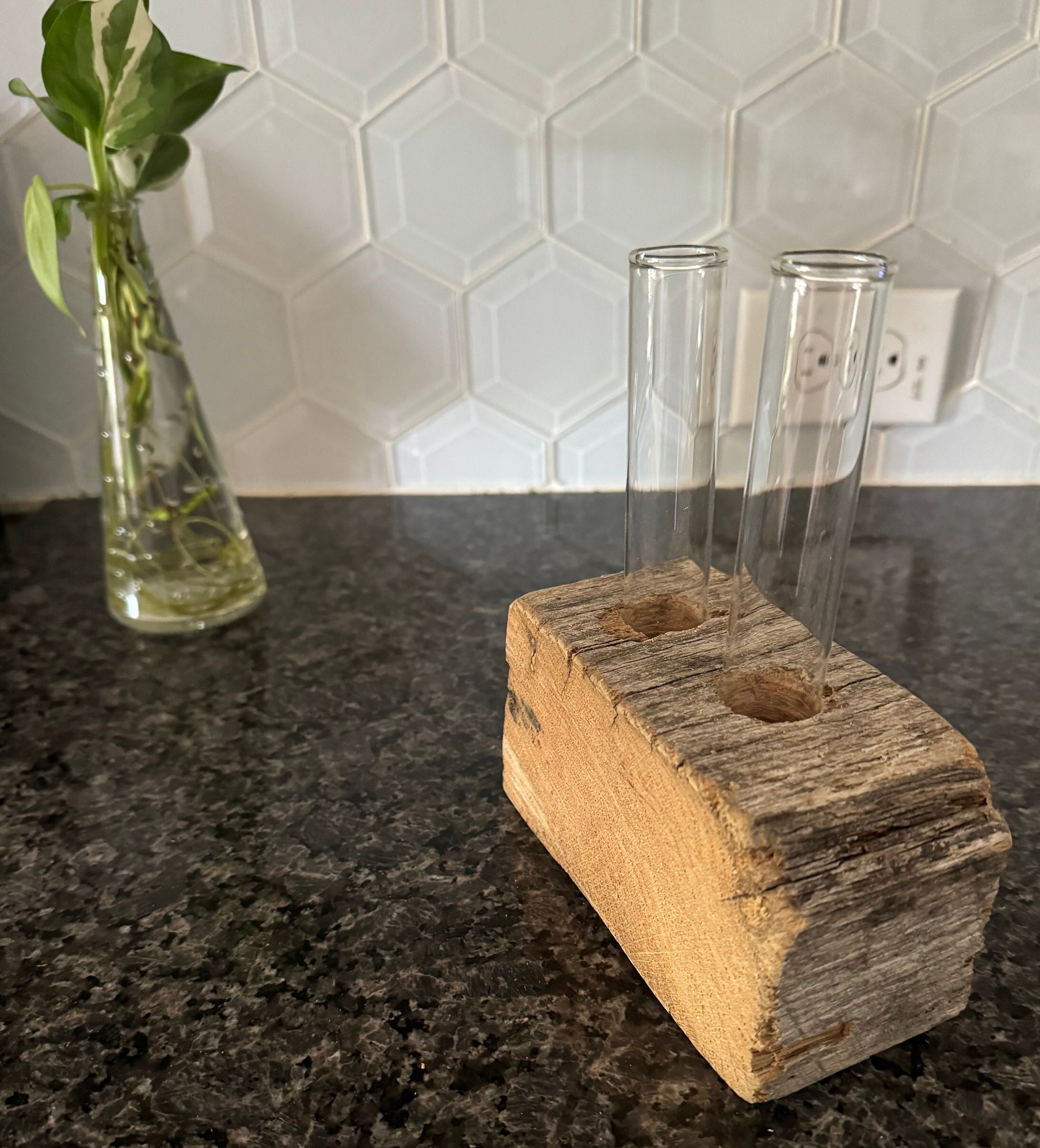 Reclaimed Oak Wood Propagation Station With Two Glass Test Tube ...