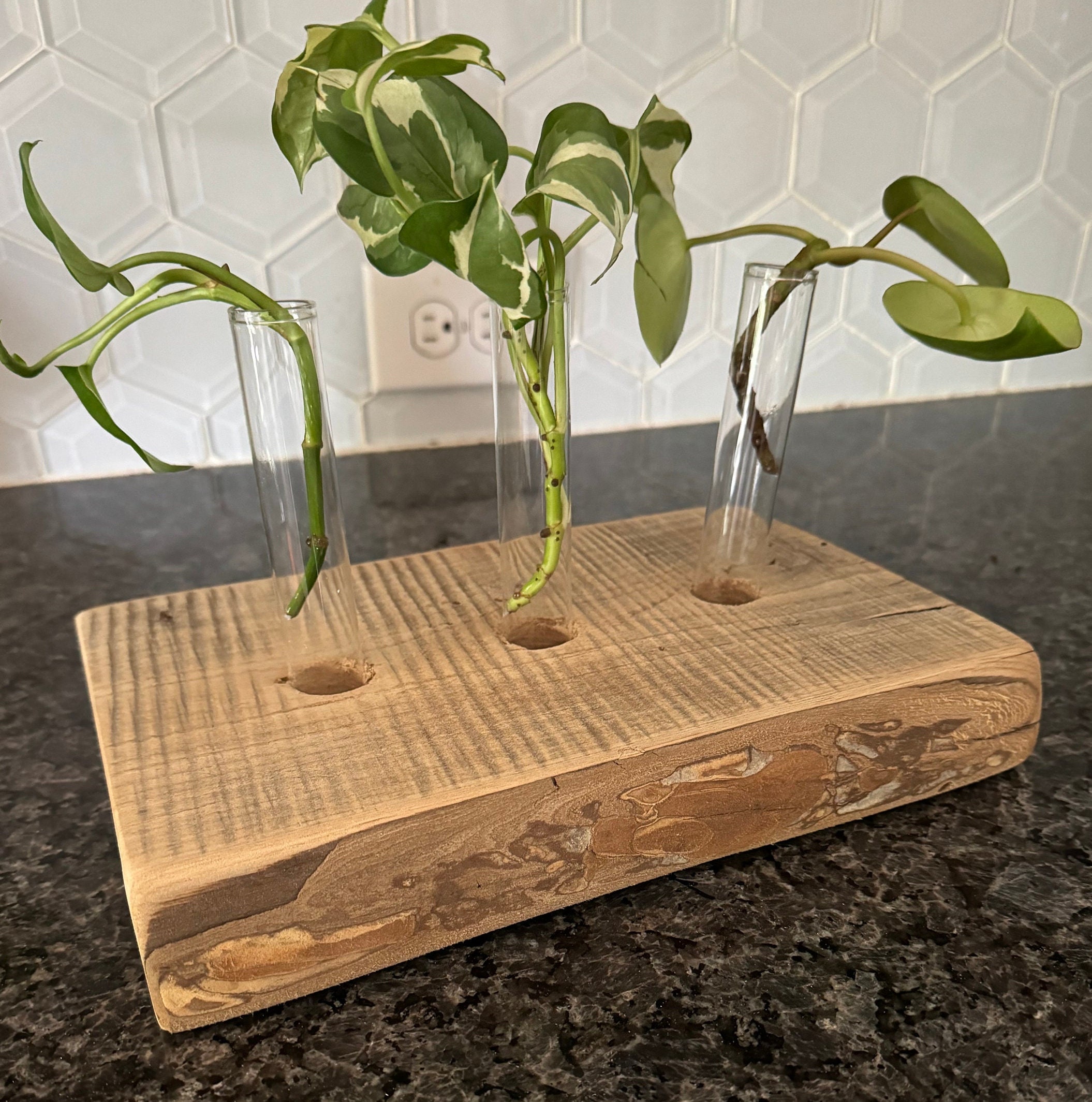 Reclaimed Oak Wood Propagation Station With Three Glass Test Tube ...