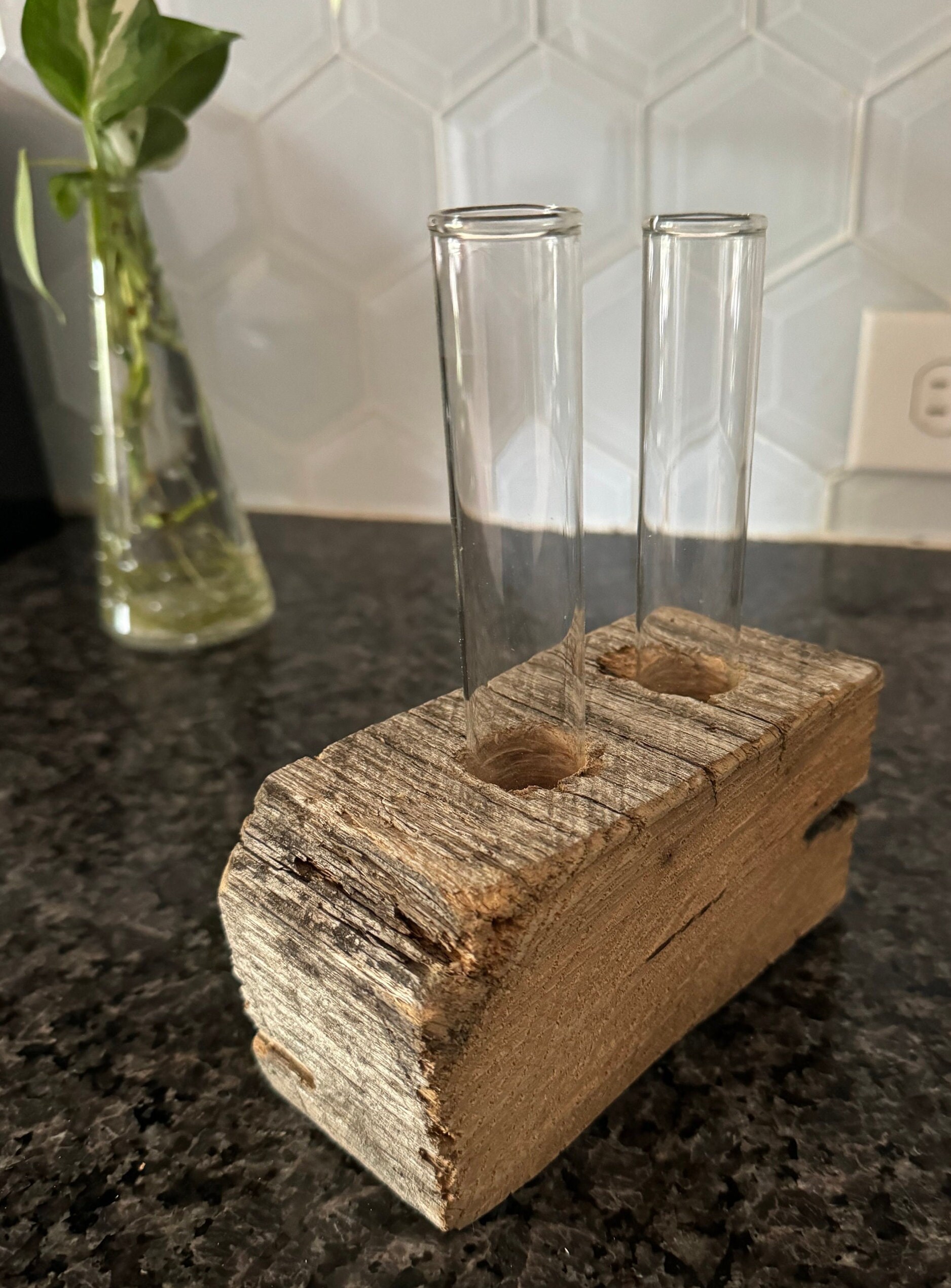 Reclaimed Oak Wood Propagation Station With Two Glass Test Tube ...