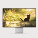 Cozy Cat Animated Stream Screen Cottagecore Overlay Lofi Plants Twitch ...