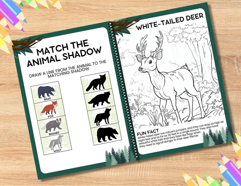 Woodlands Wildlife Childrens Animal Coloring & Activity Book Ebook PDF ...