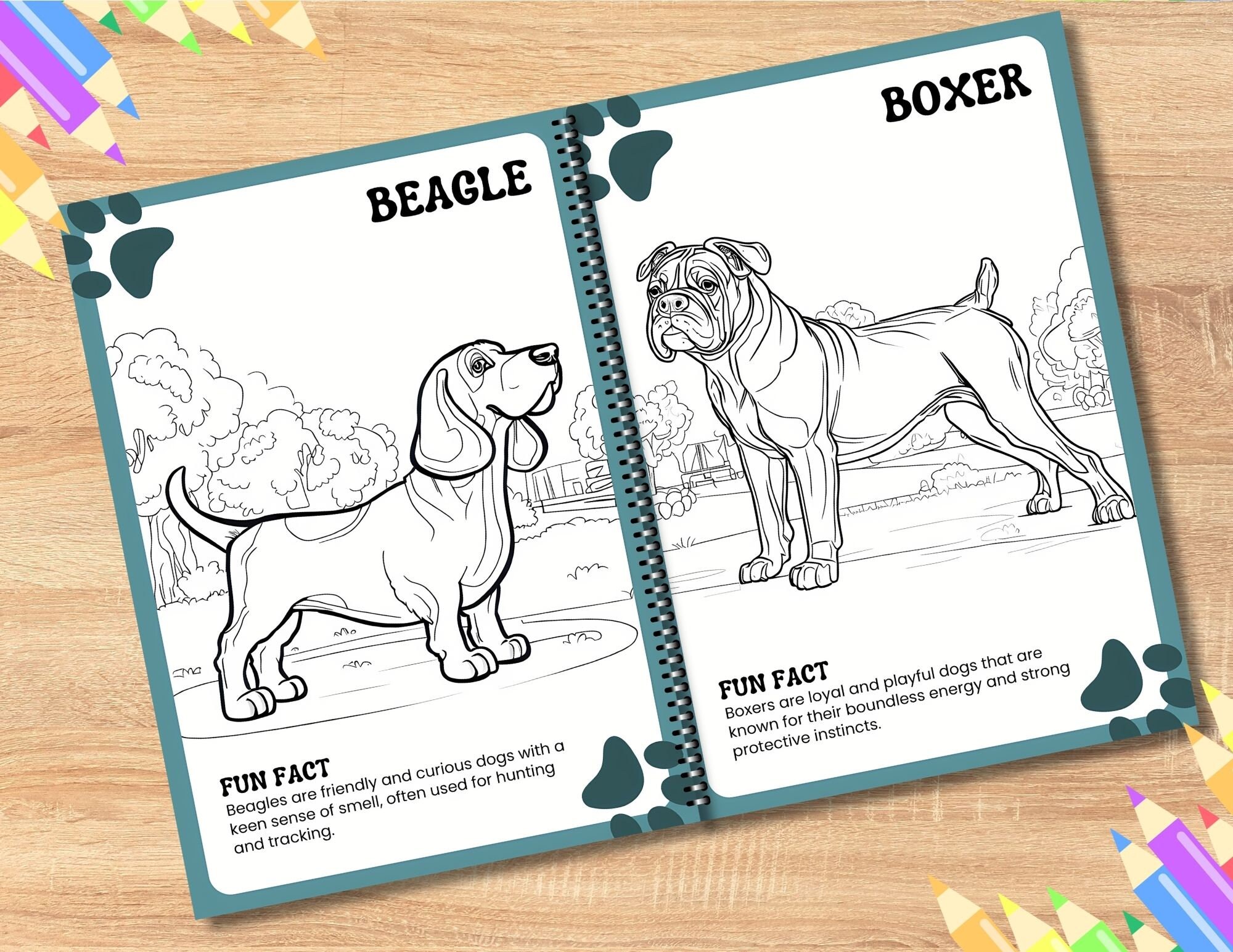 Dog Breeds Childrens Animal Coloring & Activity Book - Etsy Australia