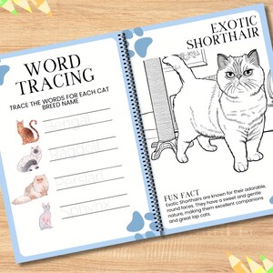 Cat Breeds | Children’s Animal Coloring & Activity Book | PDF Printable ...