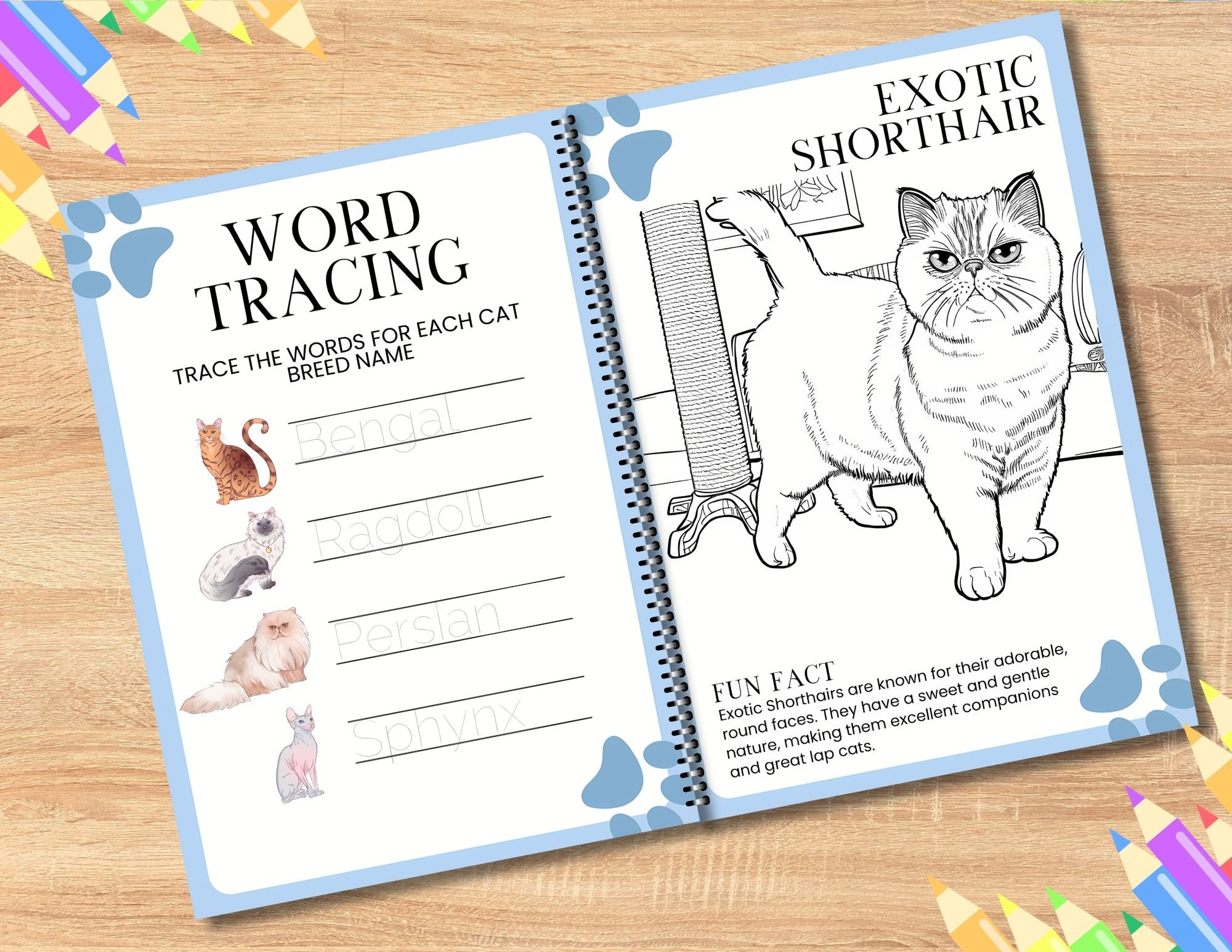 Cat Breeds Childrens Animal Coloring & Activity Book PDF Printable ...