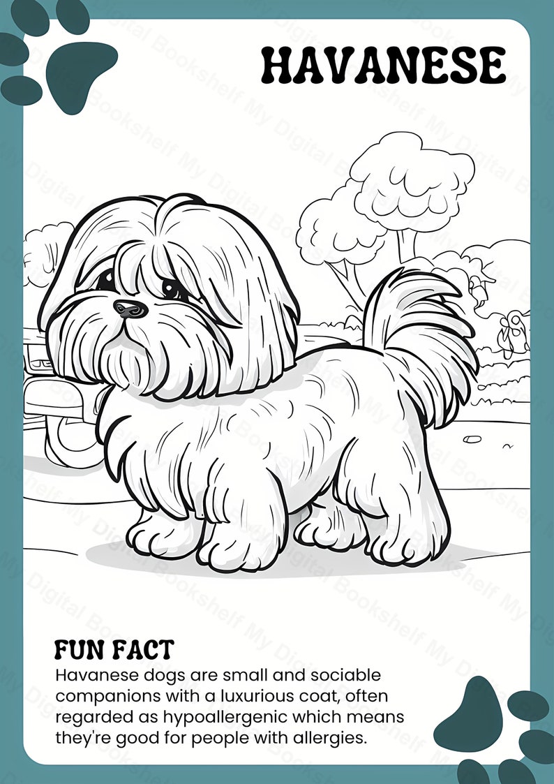 Dog Breeds Childrens Animal Coloring & Activity Book - Etsy