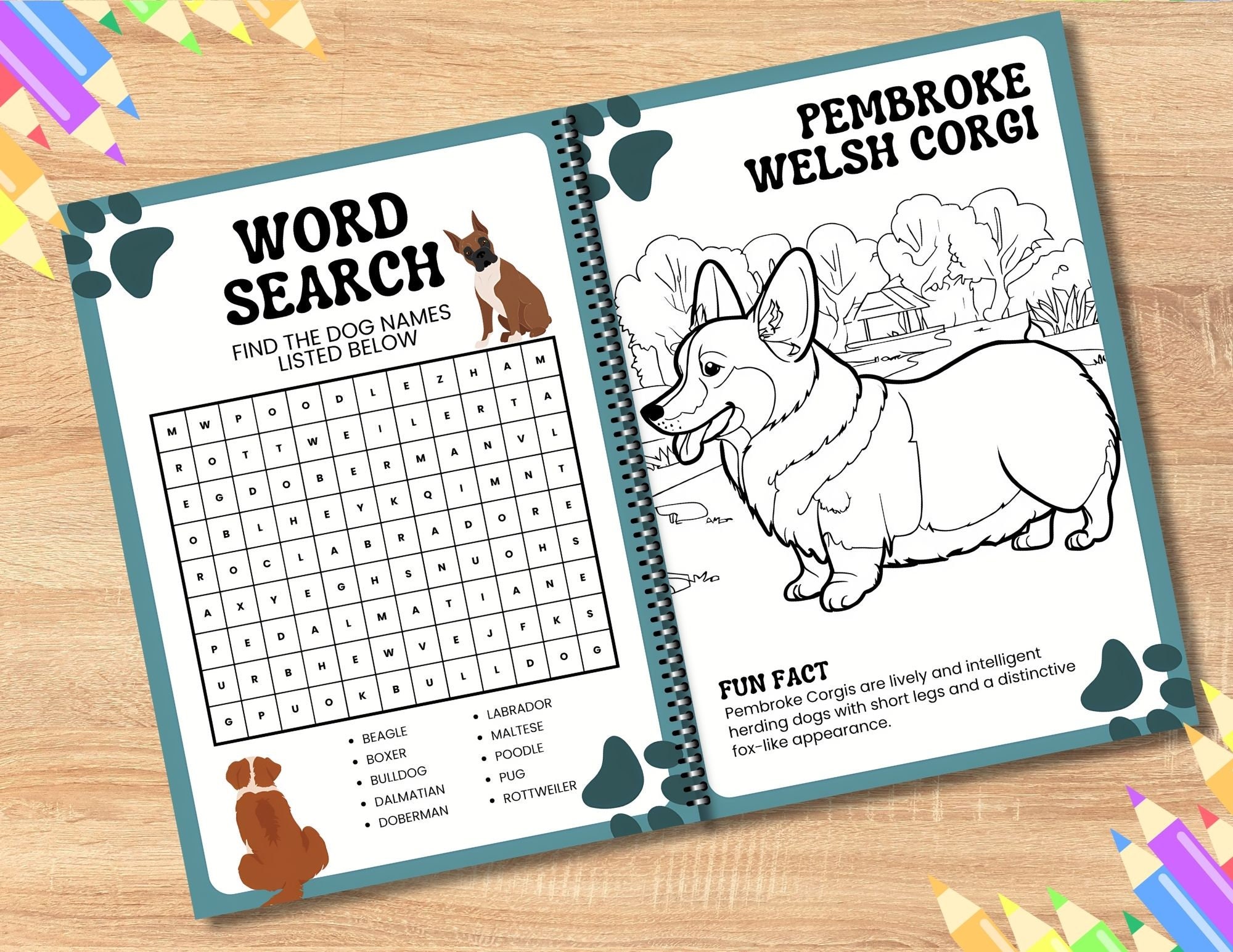 Dog Breeds Childrens Animal Coloring & Activity Book - Etsy Australia