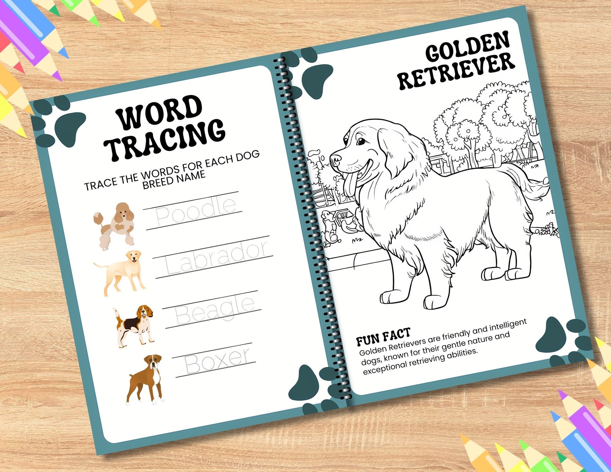 Dog Breeds Childrens Animal Coloring & Activity Book - Etsy Australia