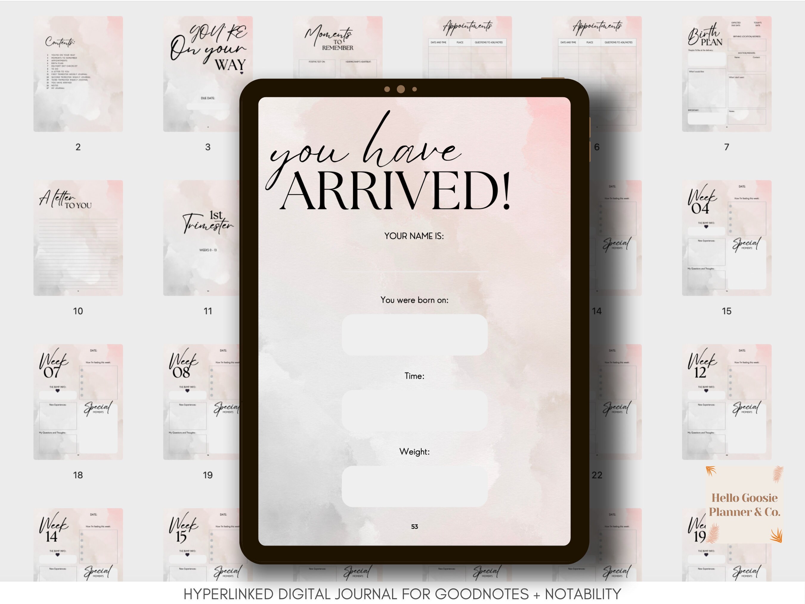 Digital Pregnancy Journal, Pregnancy Planner, Pregnancy Tracker ...