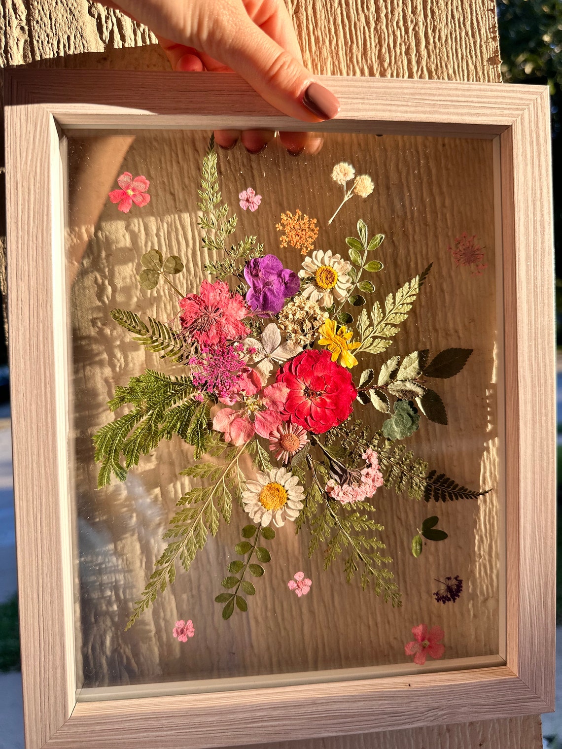 Pressed Flower Art Dried Flowers in Double Glass Floating Frame - Etsy