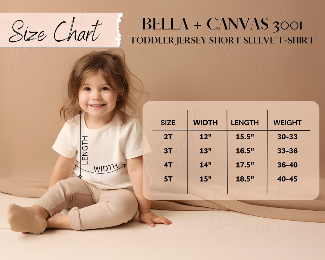 Bella Canvas 3001T Mockup Size Chart | Bella Canvas Size Chart Youth ...