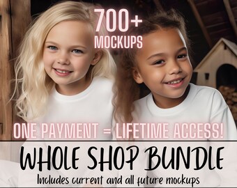 Whole Shop Bundle, Entire Shop Mockup Bundle, Bella Canvas 3001 Bundle ...