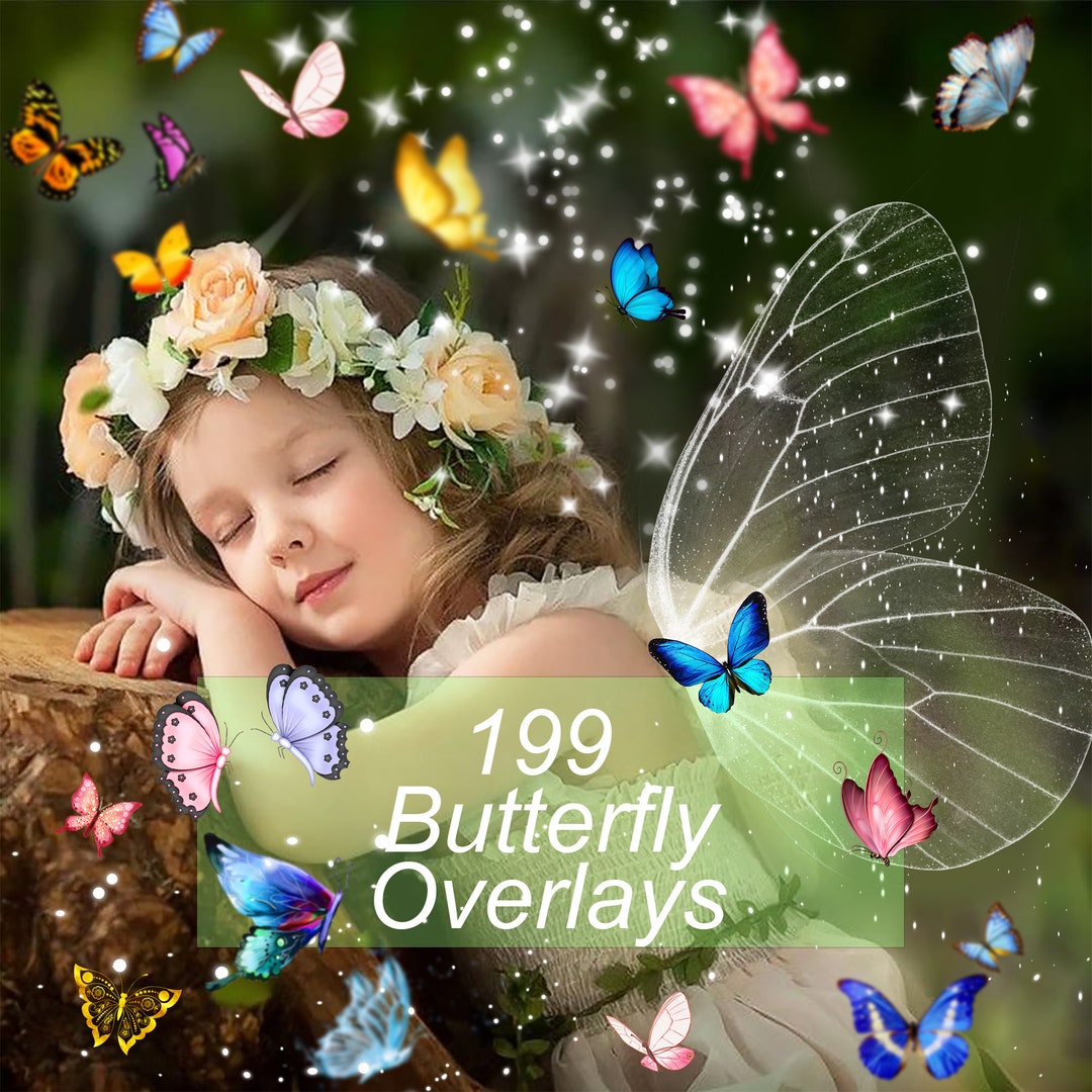 199 Butterfly Photoshop Overlays; Transparent Colorful Butterfly Png ...